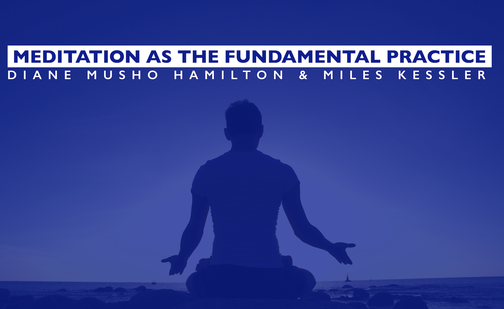 Meditation As The Fundamental Practice - The Integral Dojo