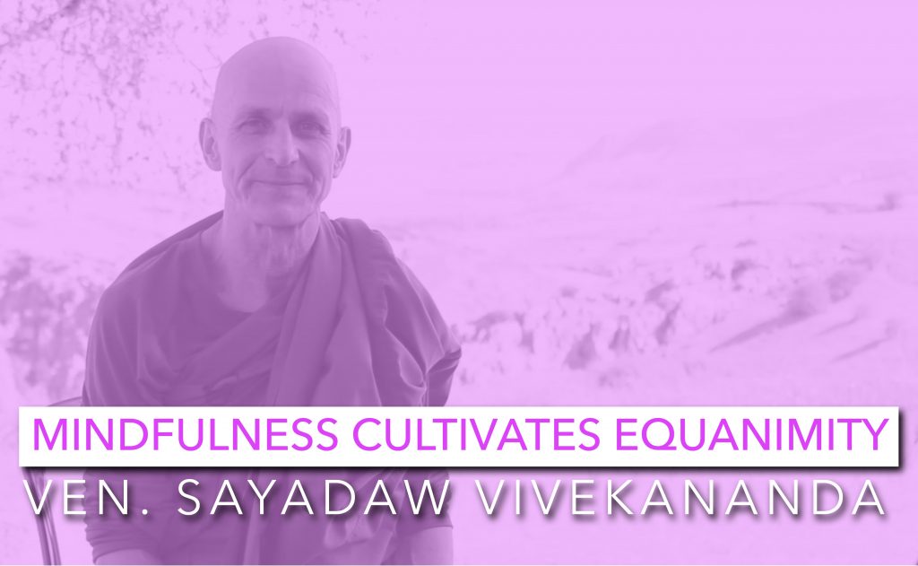 Mindfulness Cultivates Equanimity - The Integral Dojo